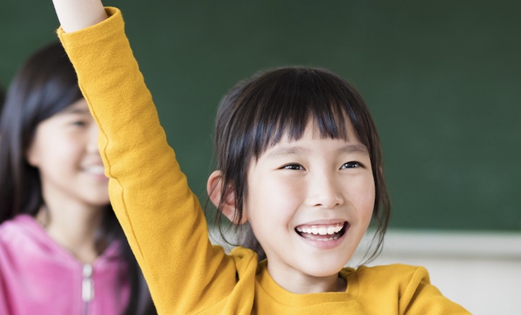 ActivePark | TCD MUSEUM