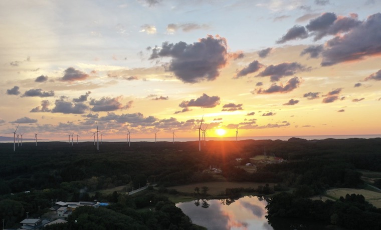 V-farms | TCD MUSEUM